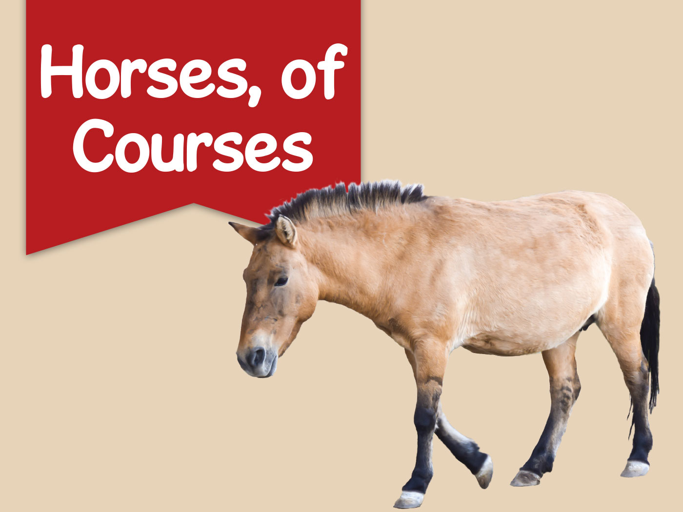 Kids Edition 2022: Horses, of Courses | The Institute for Creation Research Kids Edition 2022: Horses, of Courses | The Institute for Creation Research
